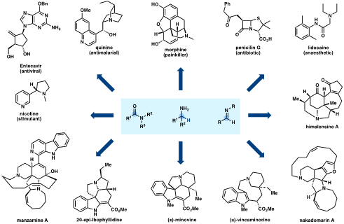 New Broad Scope Catalytic Strategies for Amine and Complex Natural ...