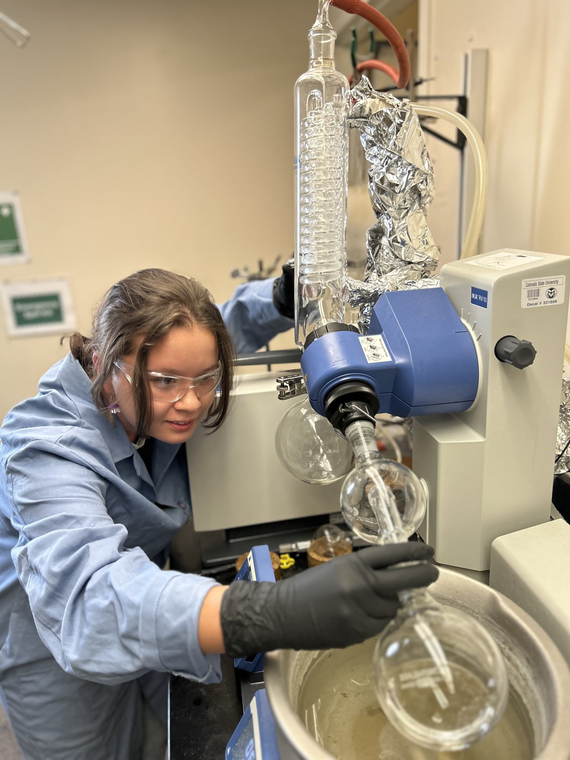 Undergraduate Research – Department of Chemistry | CSU